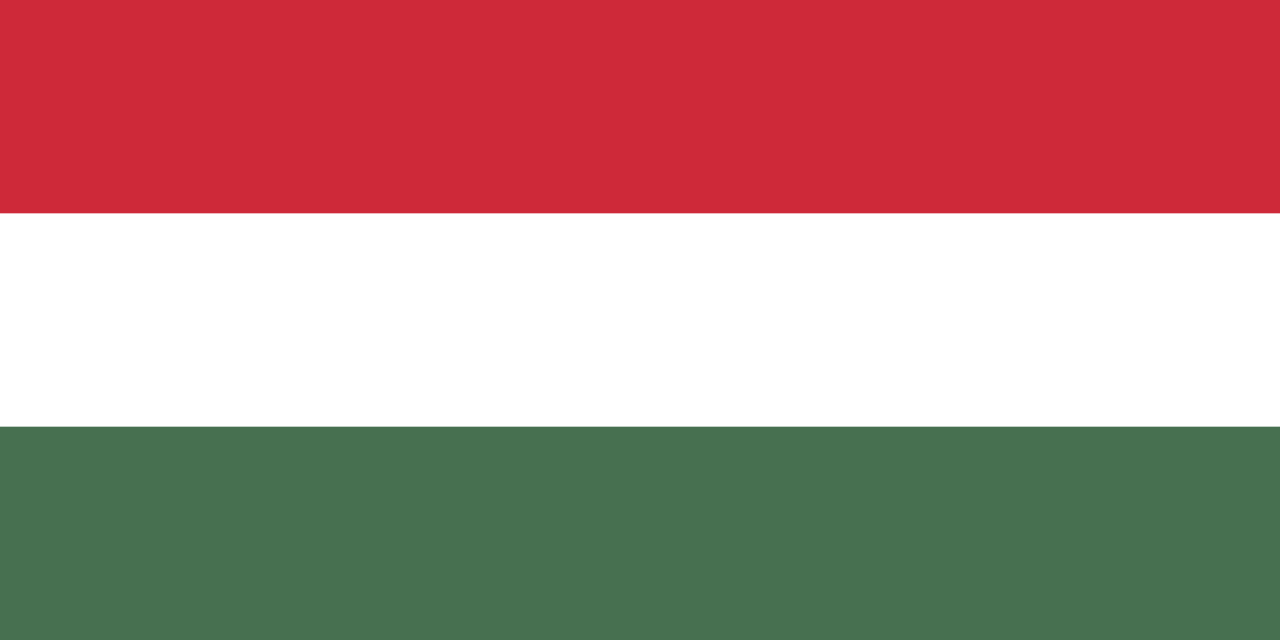 Custom AI Voices in Languages Custom AI Voices in Languages